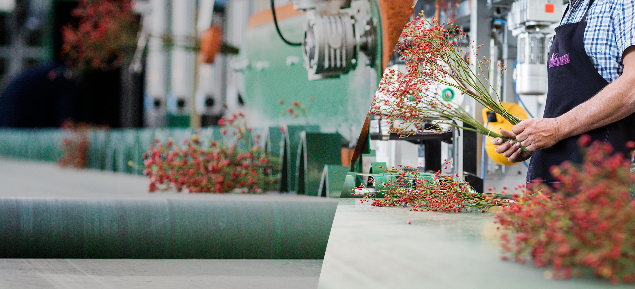 Bercomex | Let’s take efficiency to the next level