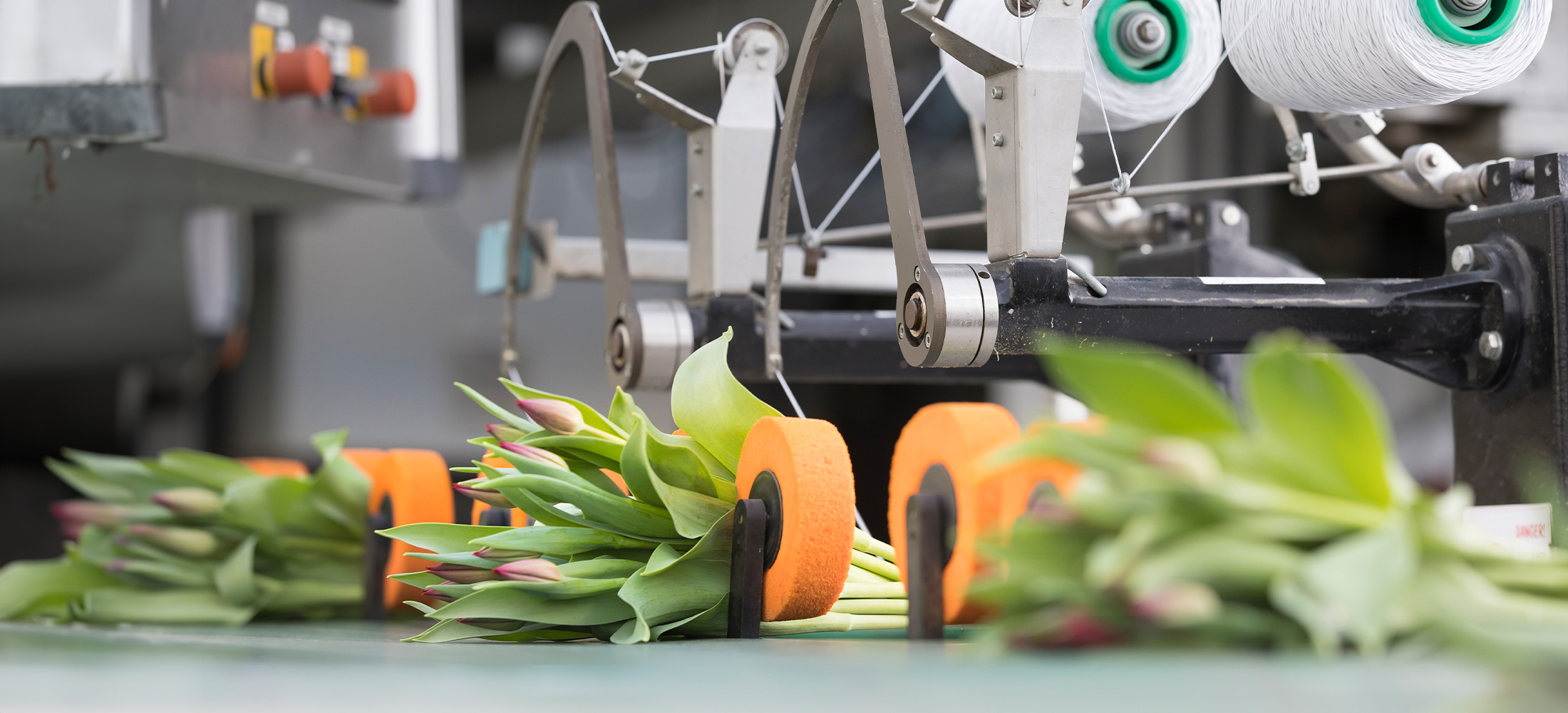 Bercomex | Tyson Binding machine